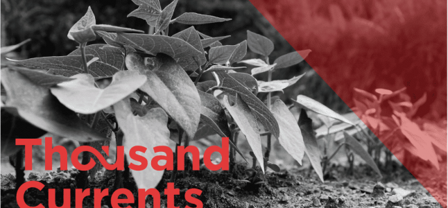 Thousand Currents - Blue Dot Law